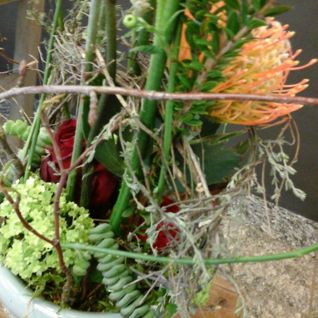 20160303_110308 – Au Panier Fleuri